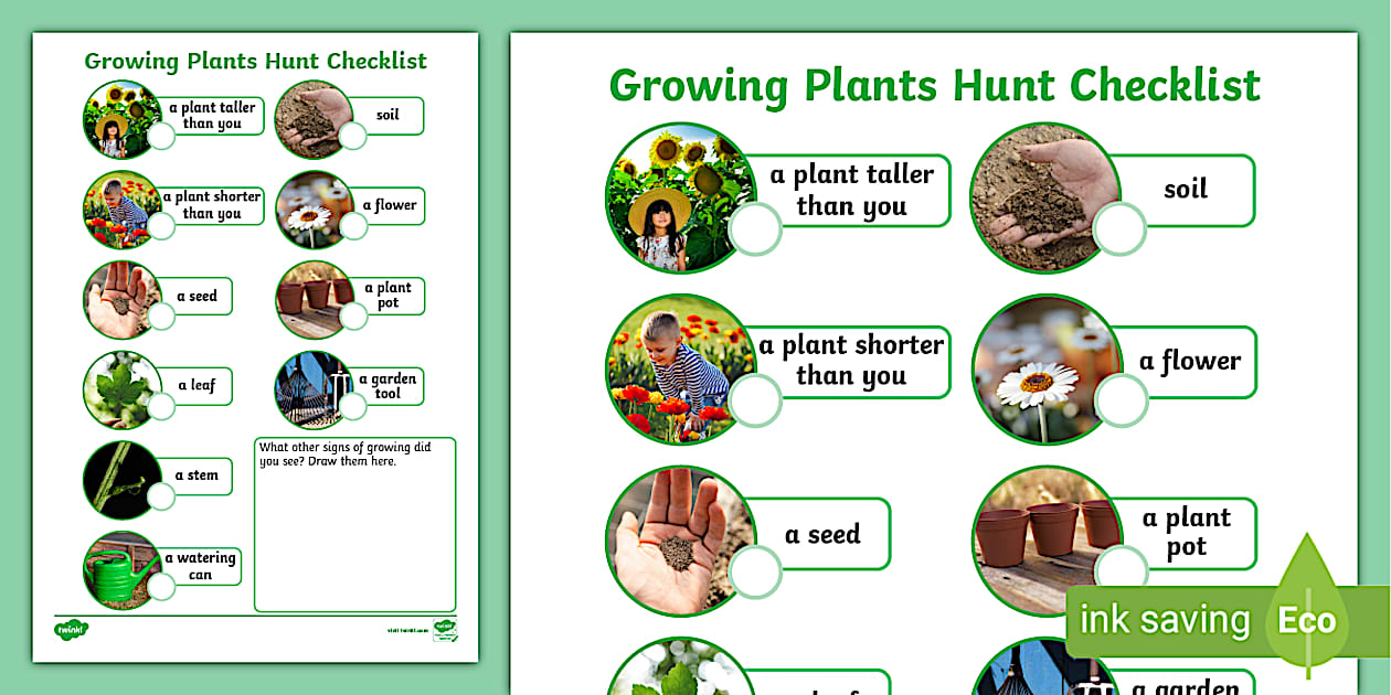 Growing Plants Hunt Photo Checklist (teacher made) - Twinkl