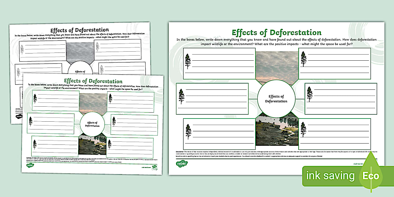 Effects of Deforestation Mind Map (teacher made) - Twinkl