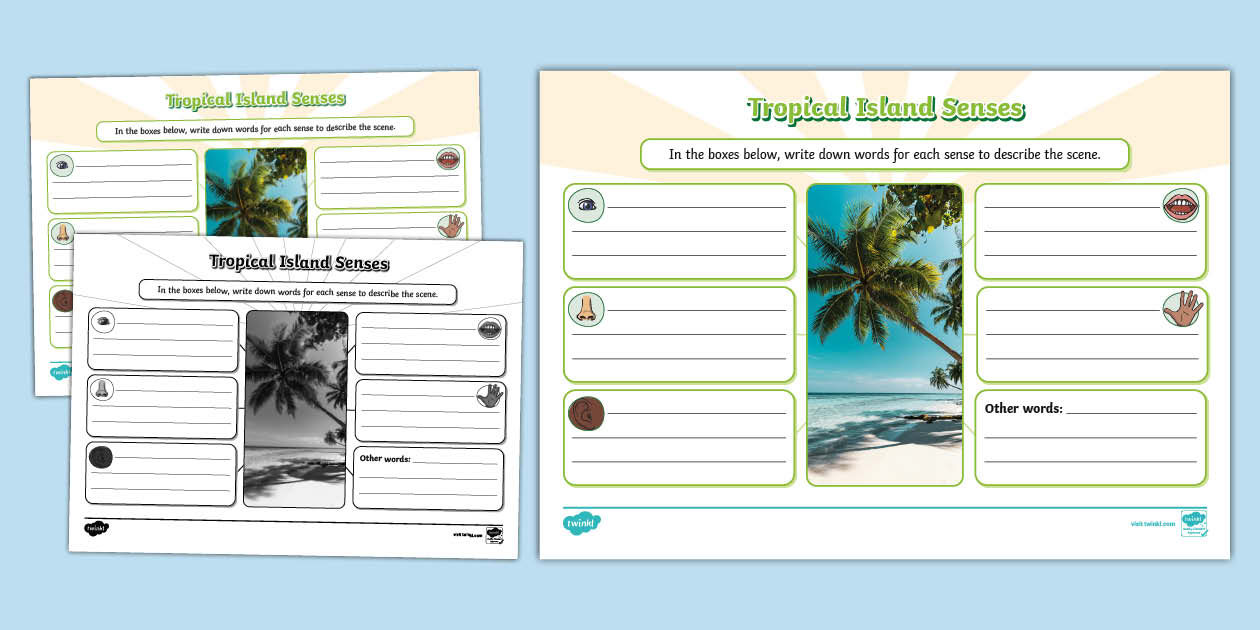 Tropical Island Senses Mind Map - Twinkl