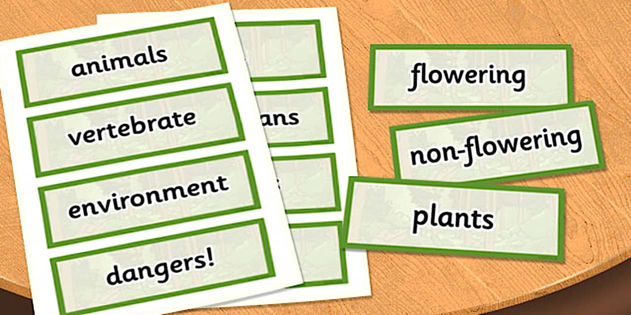 Cursive Year 4 Living Things and their Habitats Scientific Vocabulary Cards