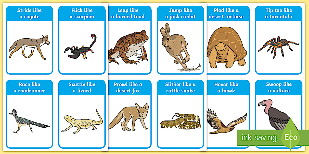 Desert Animals Movement Cards | Twinkl (teacher made)