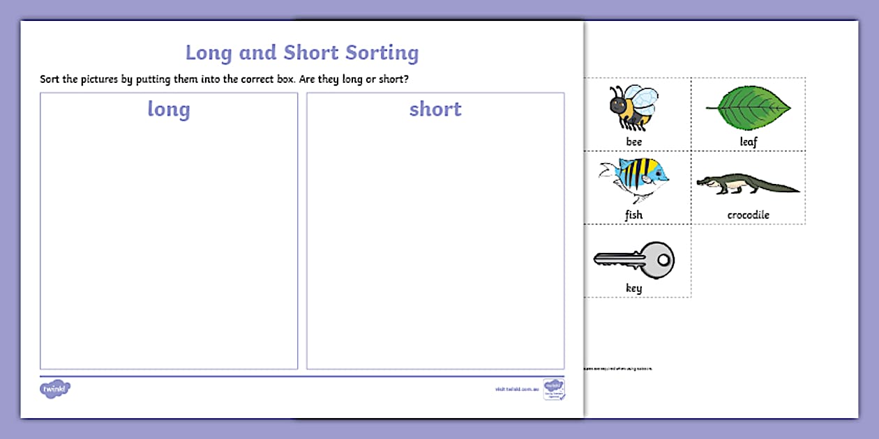 Long and Short Sorting Activity (teacher made) - Twinkl