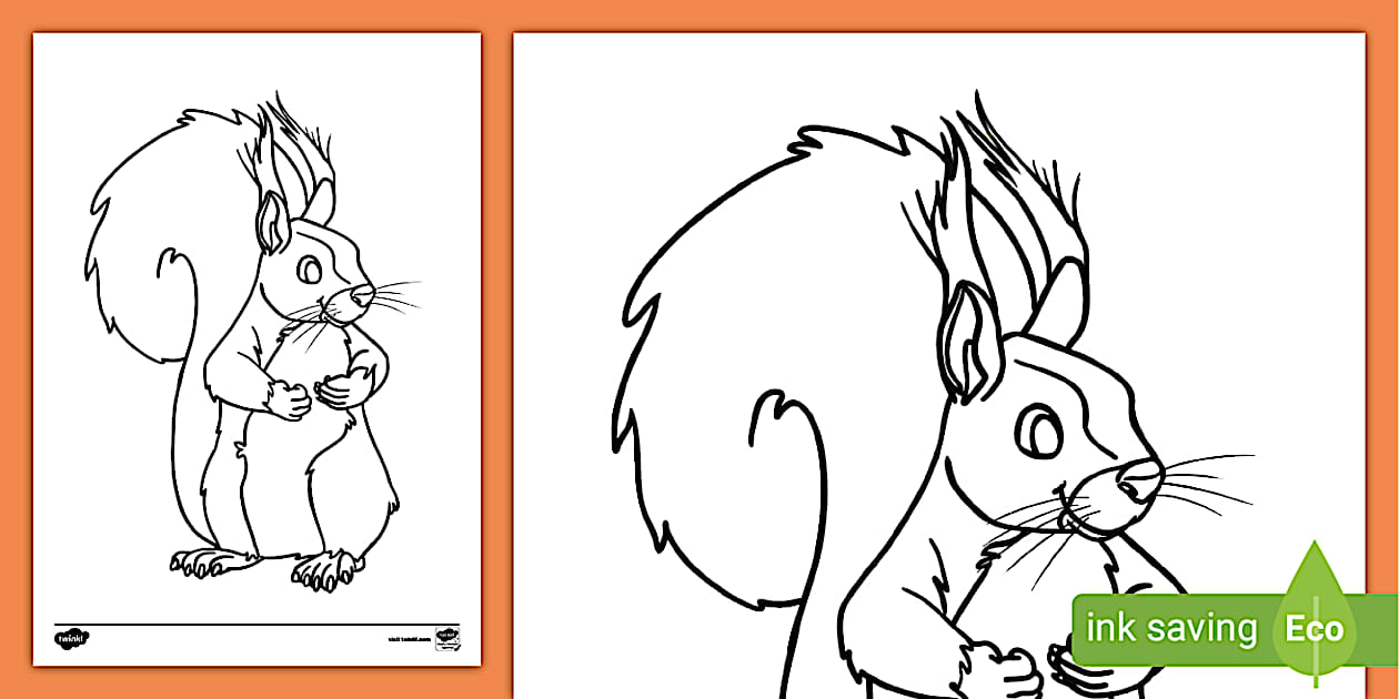 Baby Squirrel Colouring Sheet - Primary Resources - Twinkl