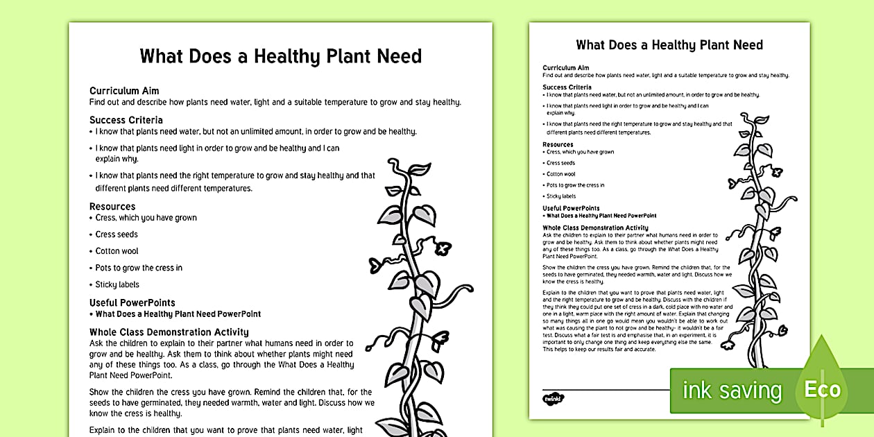 What Does a Healthy Plant Need? | Plants Lesson Ideas