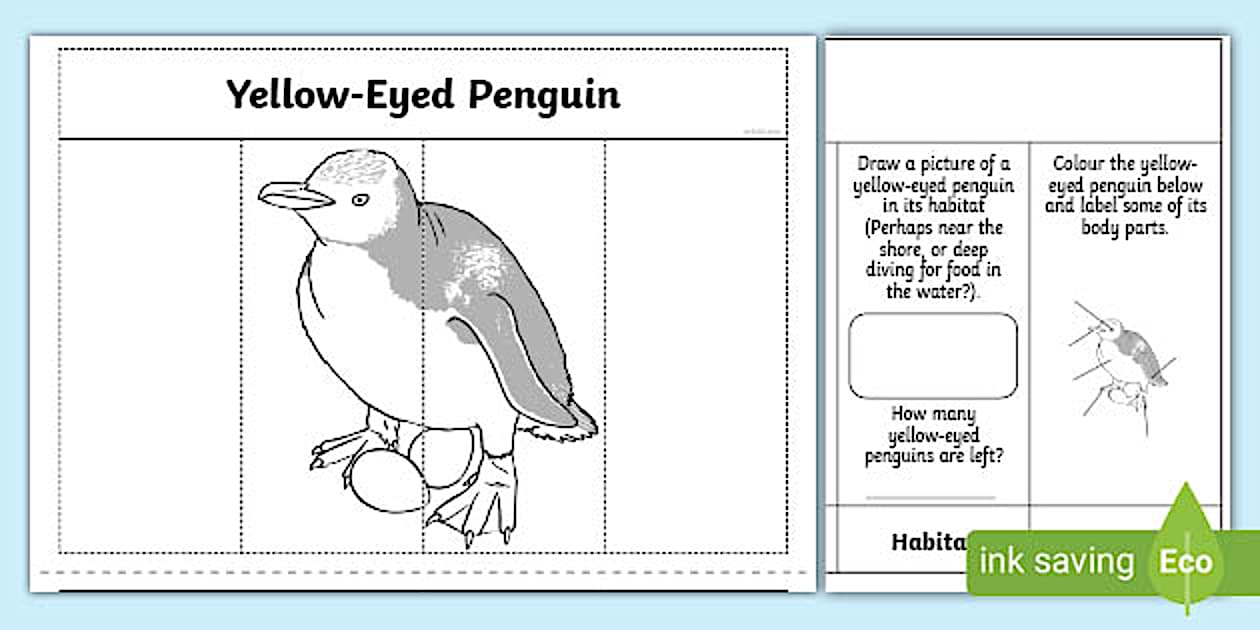 Yellow Eyed Penguin Fact File Flap Book (teacher made)