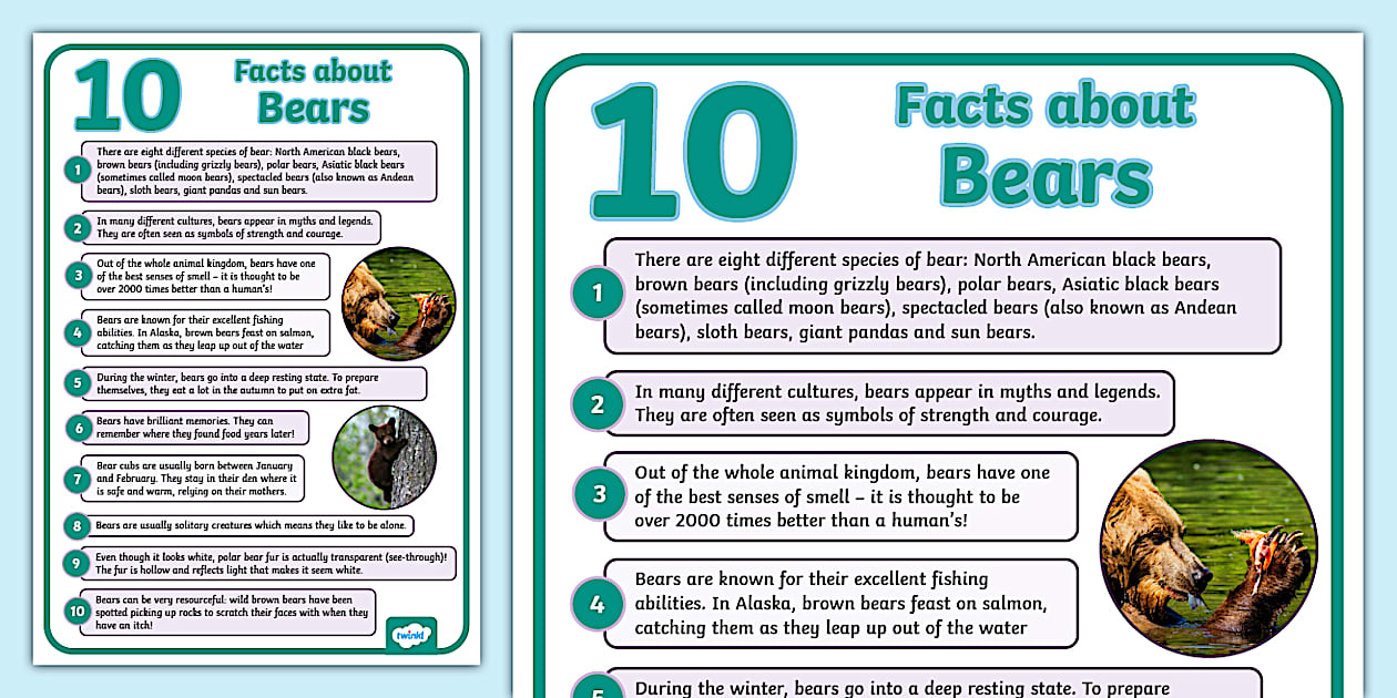 10 Facts About Bears Display Poster (Teacher-Made) - Twinkl