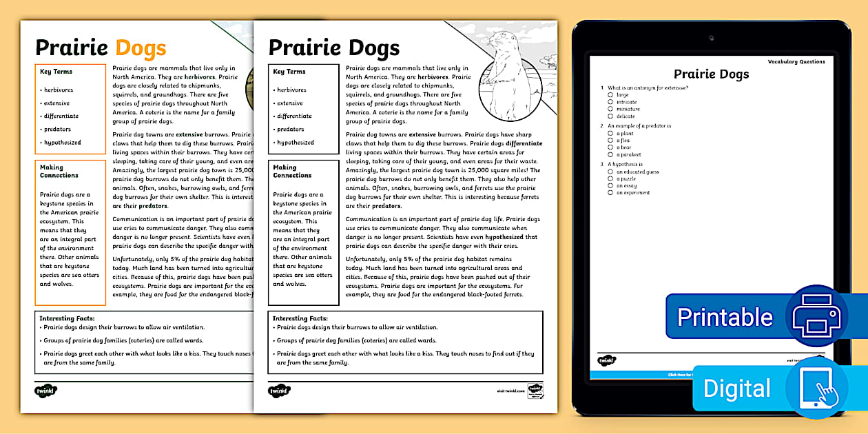 Fourth Grade Prairie Dogs Fact File and Vocabulary Questions