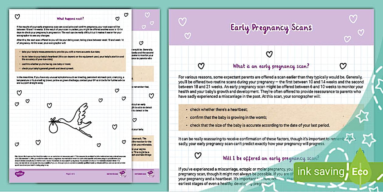 FREE! - Early Pregnancy Scans Guide (teacher made) - Twinkl