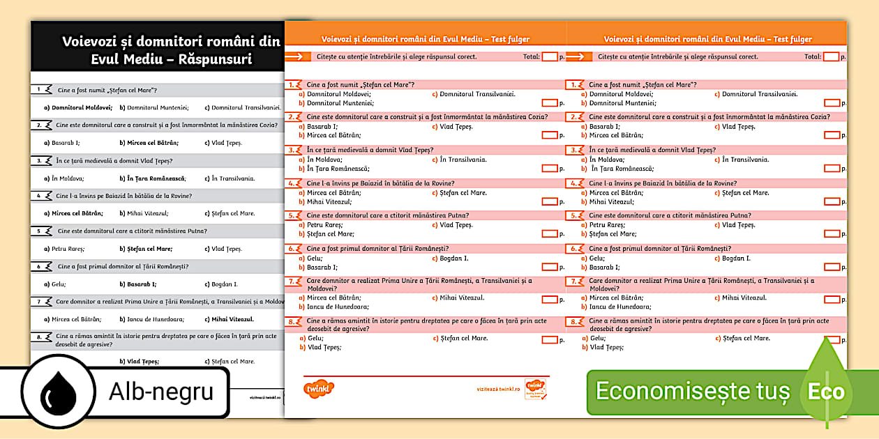 Evaluare istorie Clasa 4 domnitori și voievozi - Twinkl