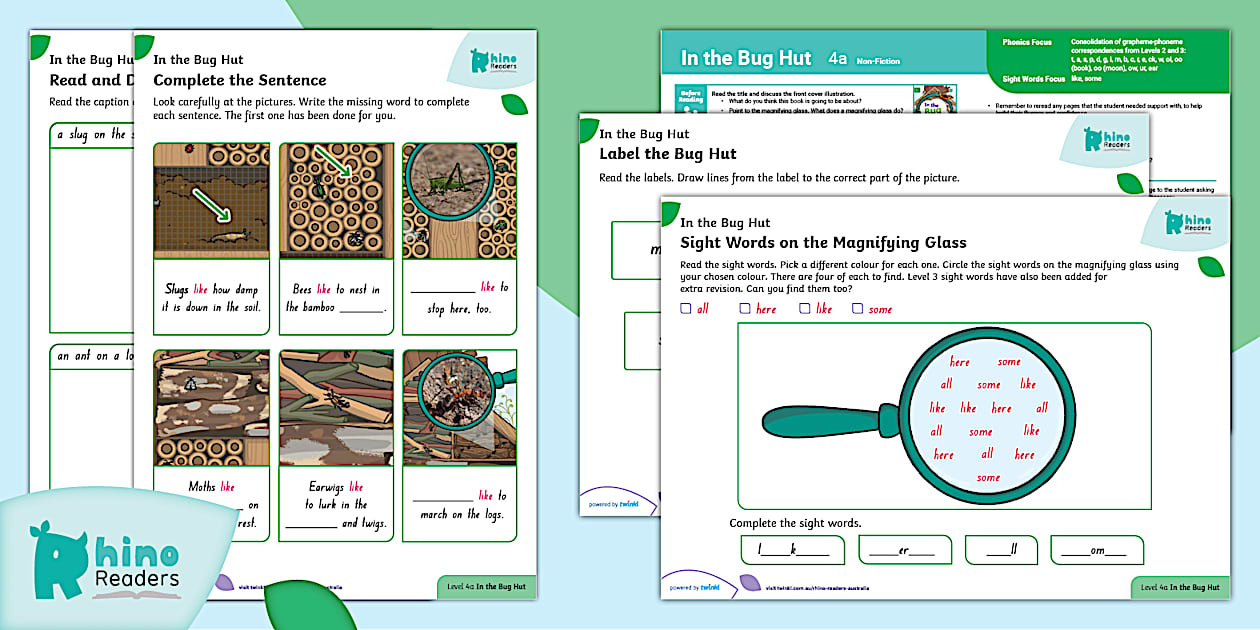 Level 4a In the Bug Hut Guided Reading Pack - Twinkl