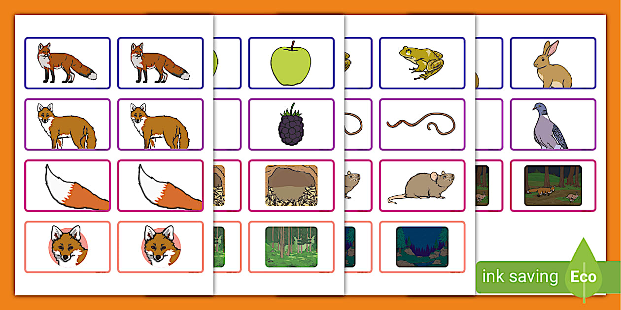 Fox-Themed Matching Pairs Game - Twinkl - KS1 (Teacher-Made)