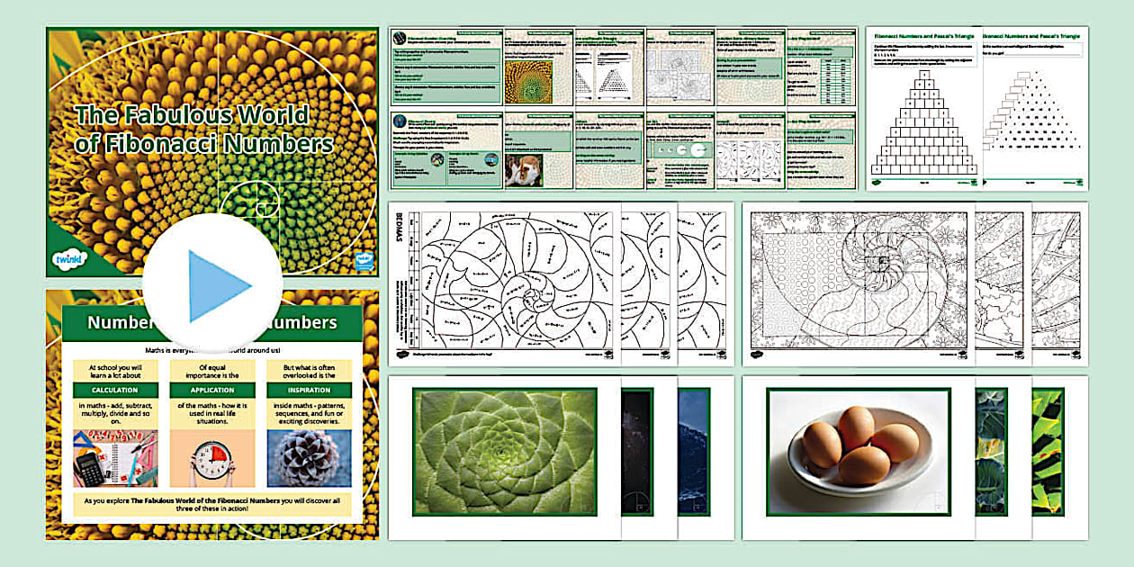 The Fabulous World of Fibonacci Numbers Pack (Year 7-8)