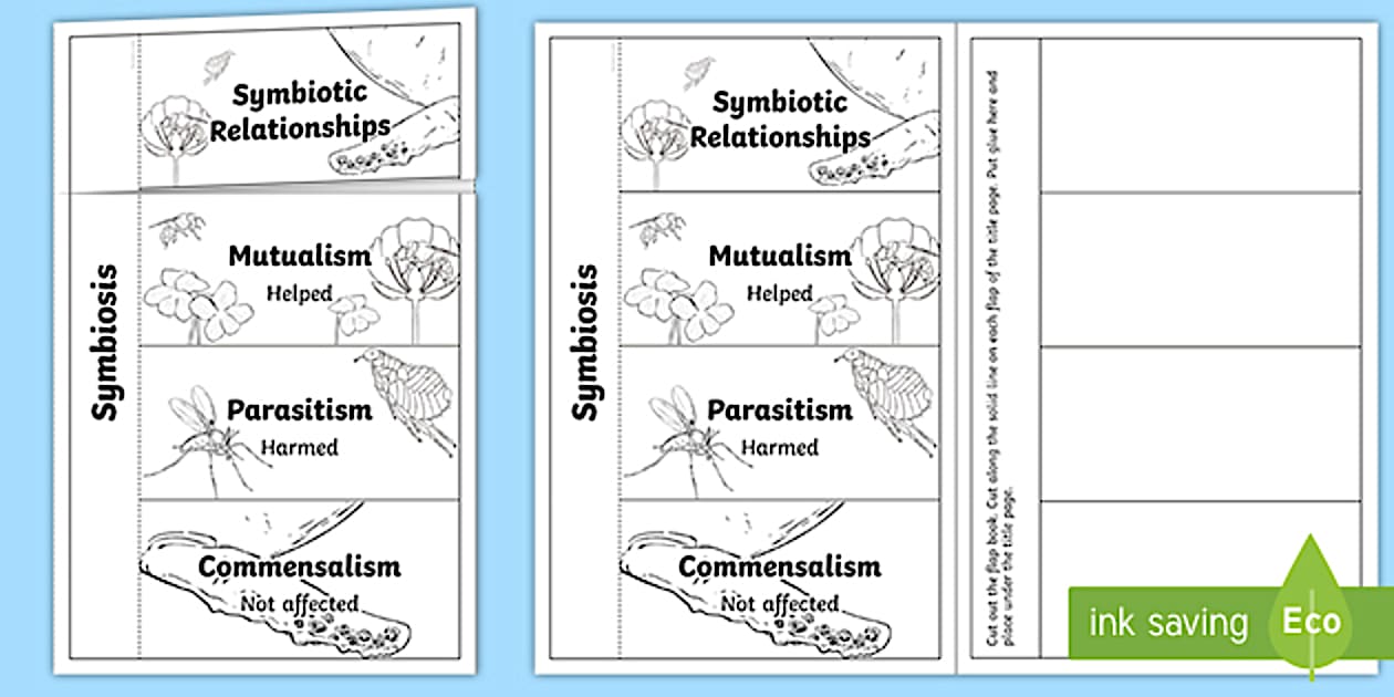Symbiotic Relationships Flap Book for 3rd-5th Grade - Twinkl