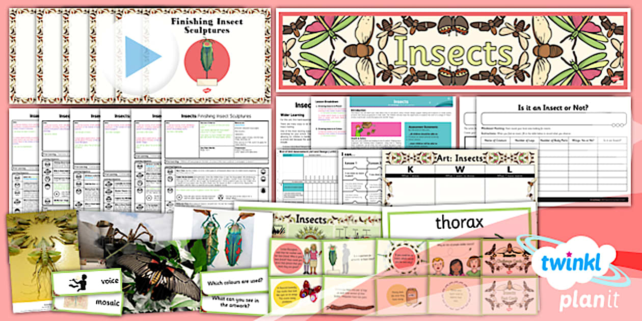 Art: Insects LKS2 Unit Pack (teacher made) - Twinkl