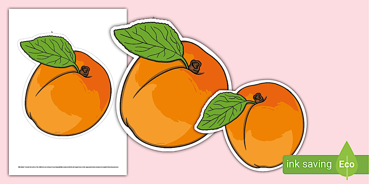 Apricot Display Cut-Out (teacher made) - Twinkl
