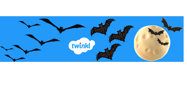 International Bat Night - Events | Twinkl - Twinkl