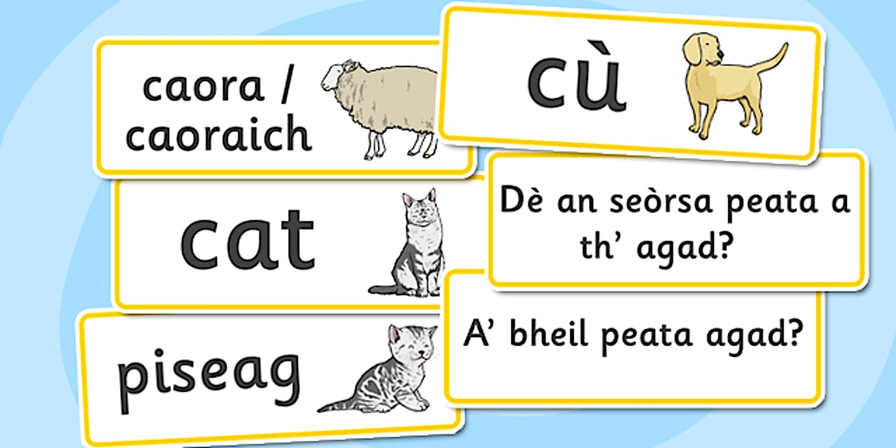Scottish Gaelic Pets Topic Word Cards (teacher made)