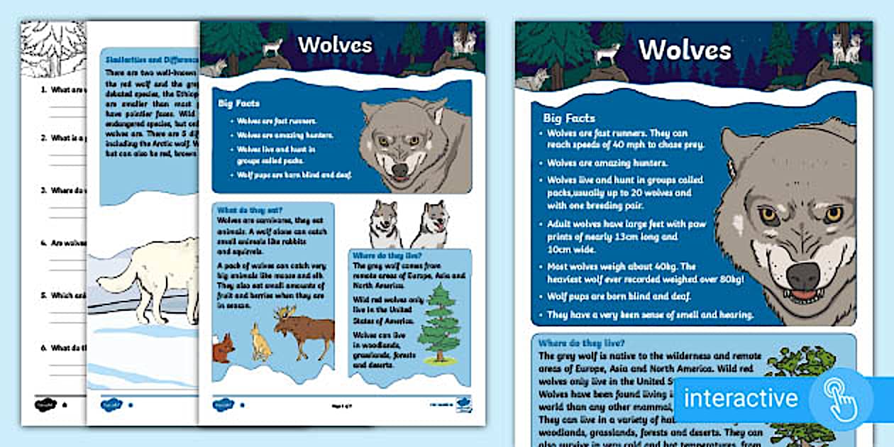 Wolves Differentiated Reading Comprehension Activity