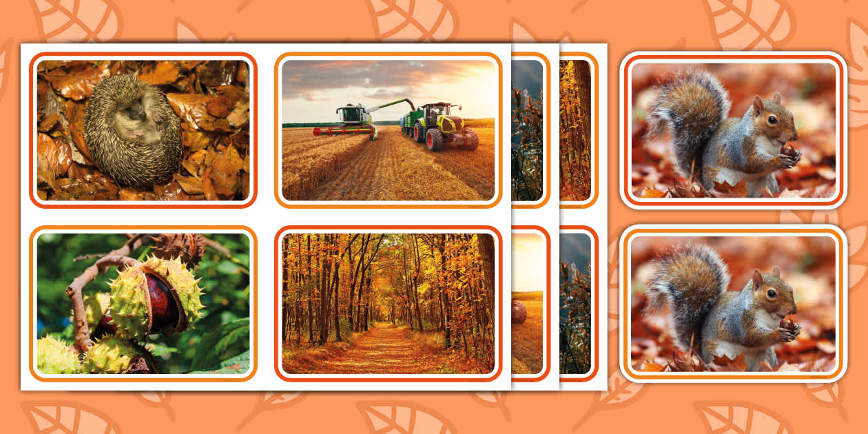 Autumn Photo Matching Pairs Game | Twinkl (Teacher-Made)