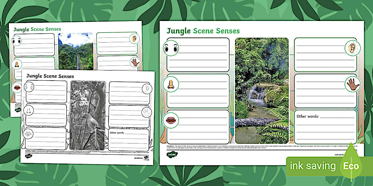 Jungle Scene Senses Mind Map (teacher made) - Twinkl