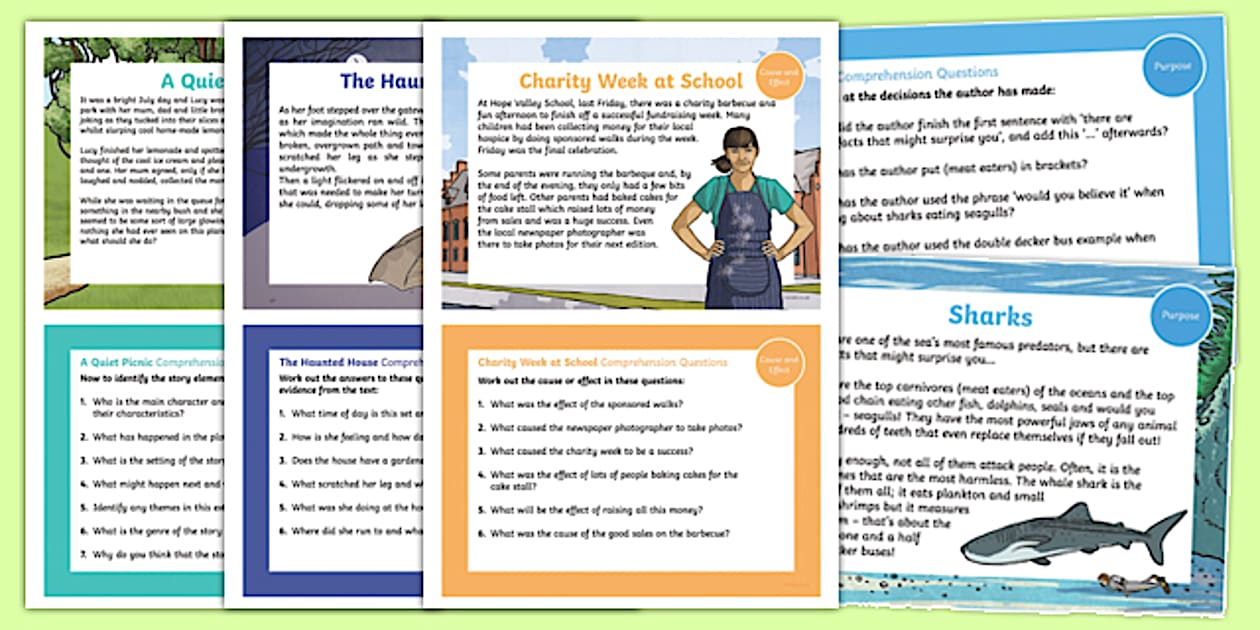 Reading Comprehension Skills Challenge Cards (teacher made)