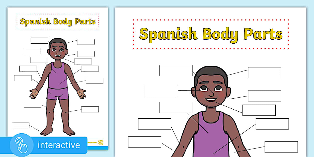 👉 Interactive PDF: Spanish Body Parts Worksheet - Twinkl