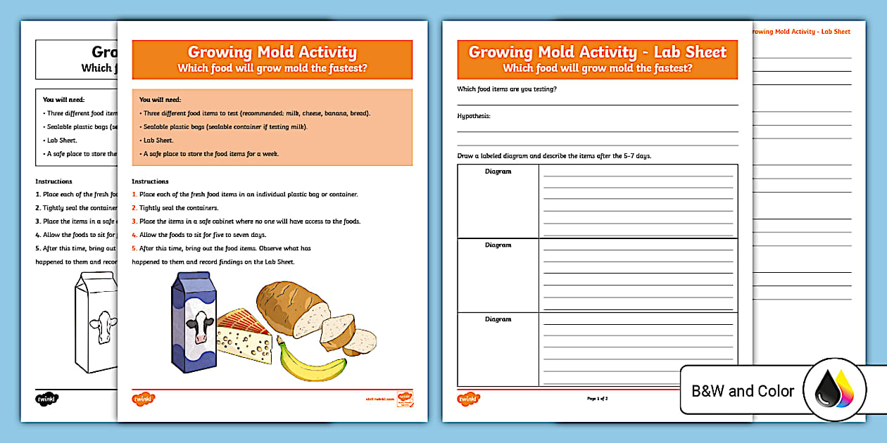 Growing Mold Science Worksheet (teacher made) - Twinkl