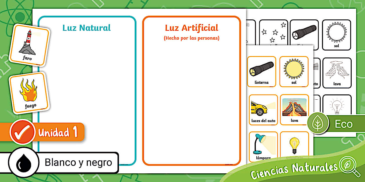Guía de trabajo: Luz Natural y Luz Artificial - Twinkl