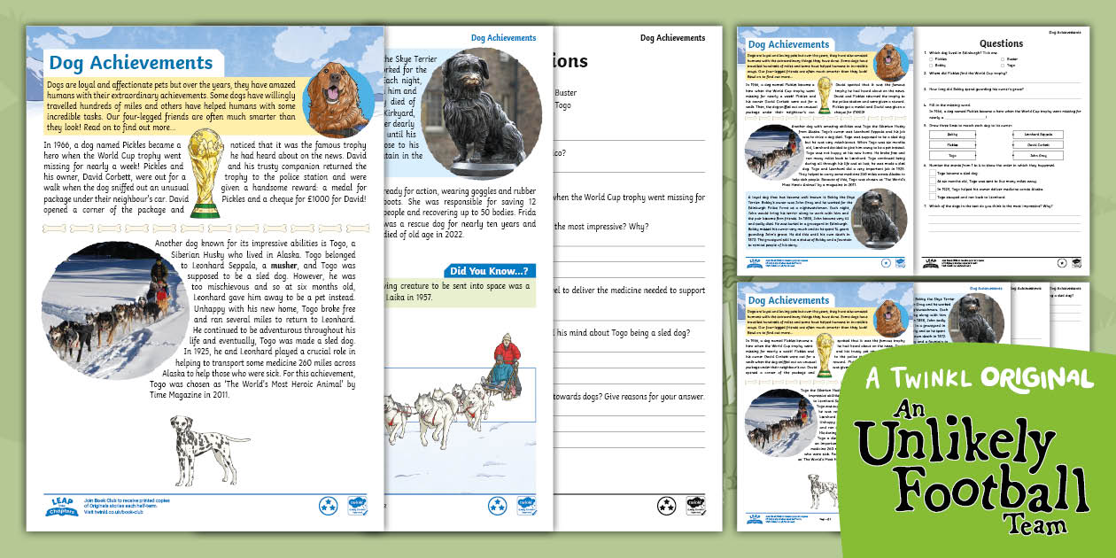 Year 3 Differentiated Dog Comprehension: Dog Achievements