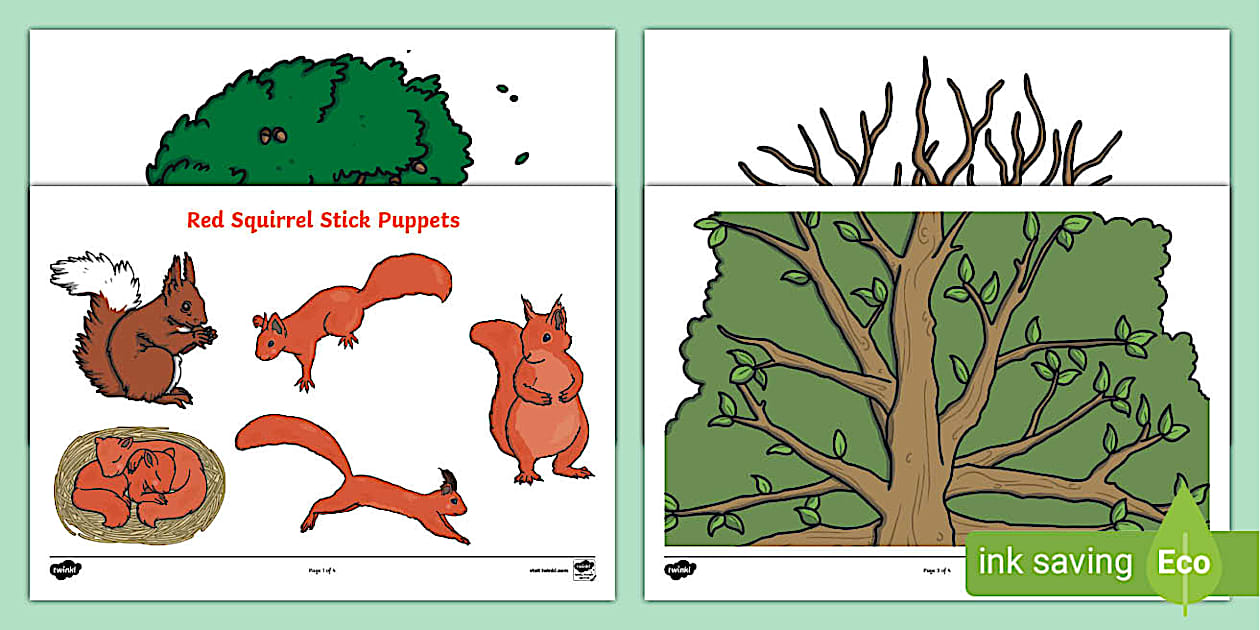 Red Squirrel Puppet Resource - Stick Puppets (teacher made)