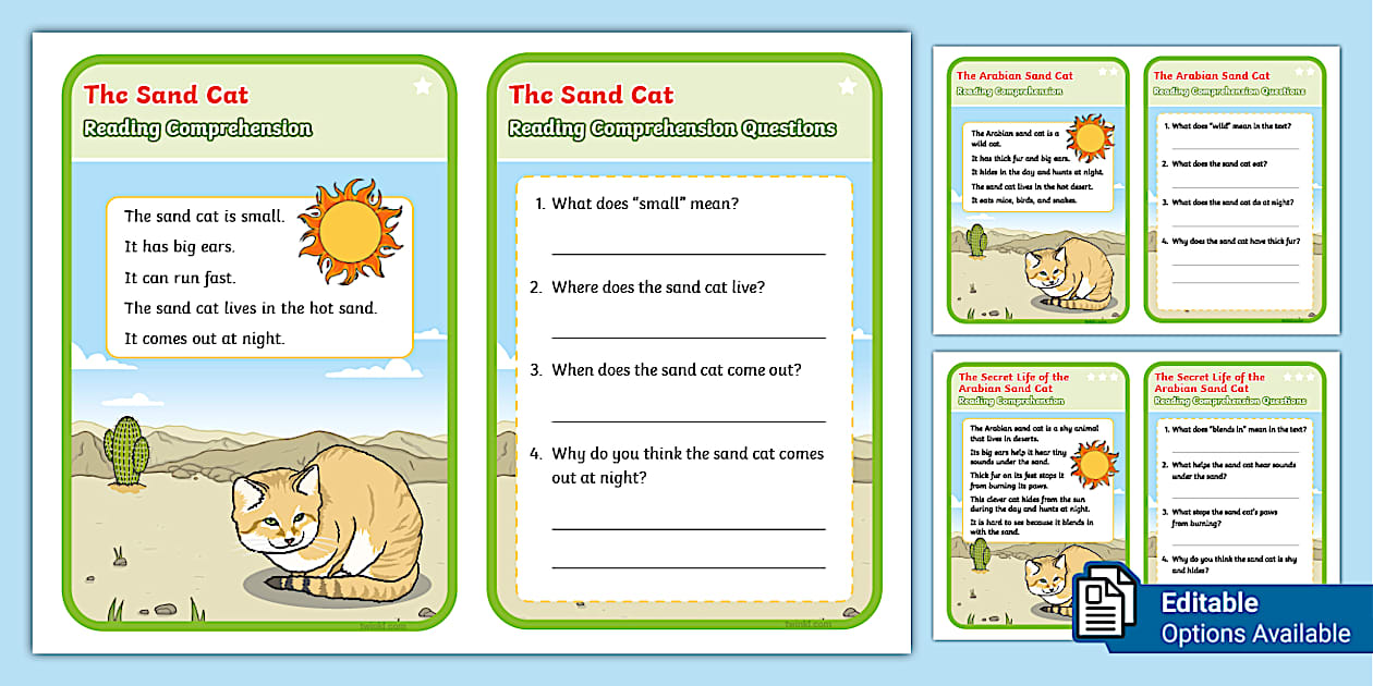 Sand Cats KS1 Reading Comprehension Cards