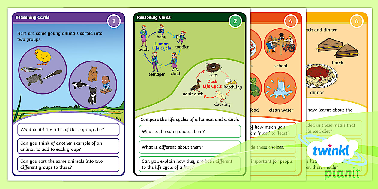 Science: Animals Including Humans: Reasoning Cards Year 2