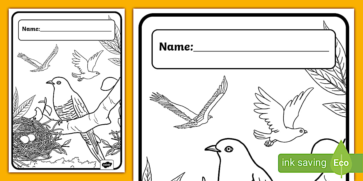 Bird Colouring Book Cover (teacher made) - Twinkl