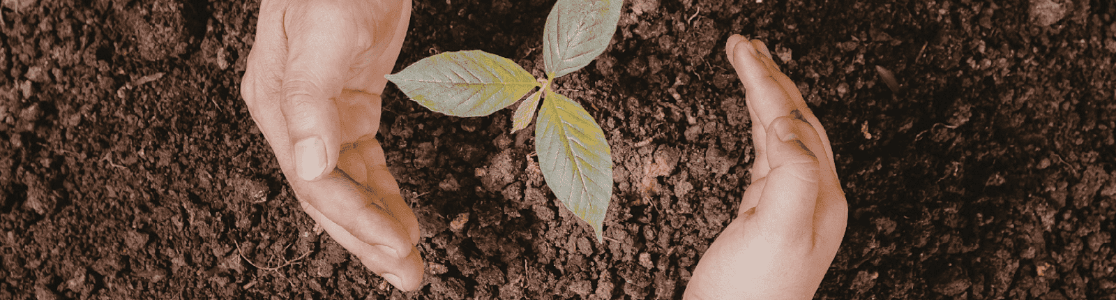 A-Z of teaching assistant terminology: N is for neurodiversity and nurture