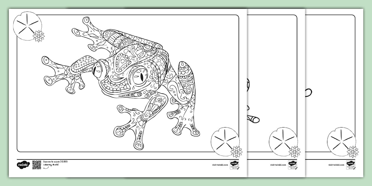 Frog Mindfulness Colouring Pages | Mindfulness | Colouring