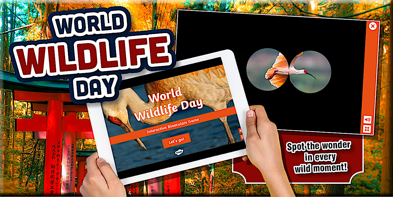 World Wildlife Day Interactive Binoculars Game