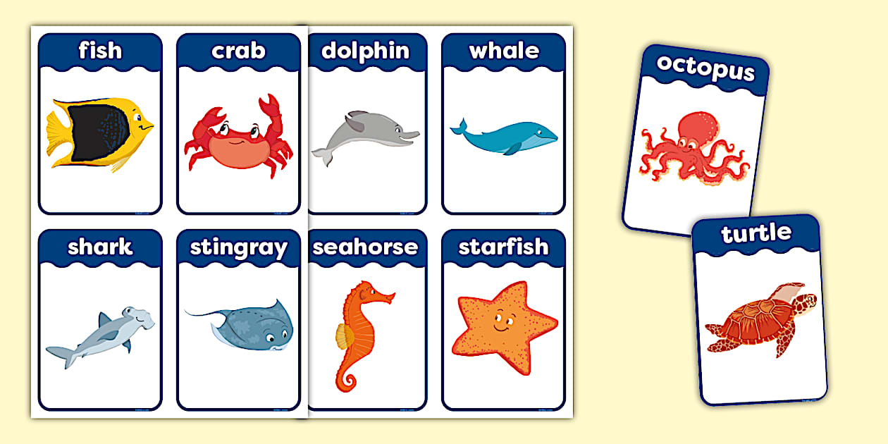 Originals First Words Flashcards: Sea Creatures - Twinkl