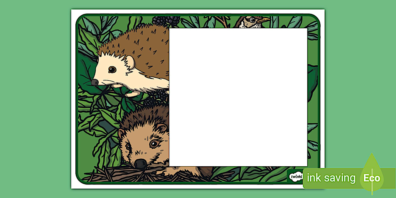 Hedgehog Photo Frame (teacher made) - Twinkl