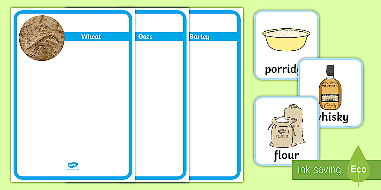 Which Grain? Sorting Cards (Teacher-Made) - Twinkl