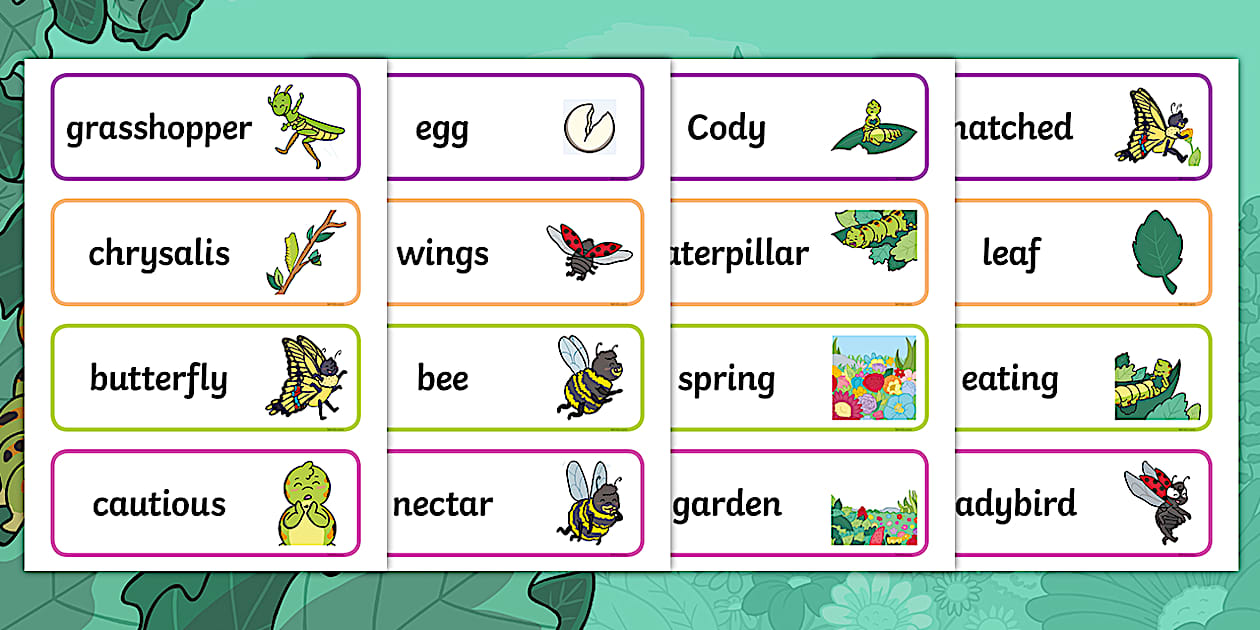 The Cautious Caterpillar Word Cards (teacher made) - Twinkl