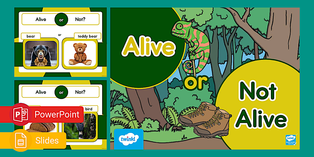 Alive or Not Alive PowerPoint & Google Slides for K-2nd Grade