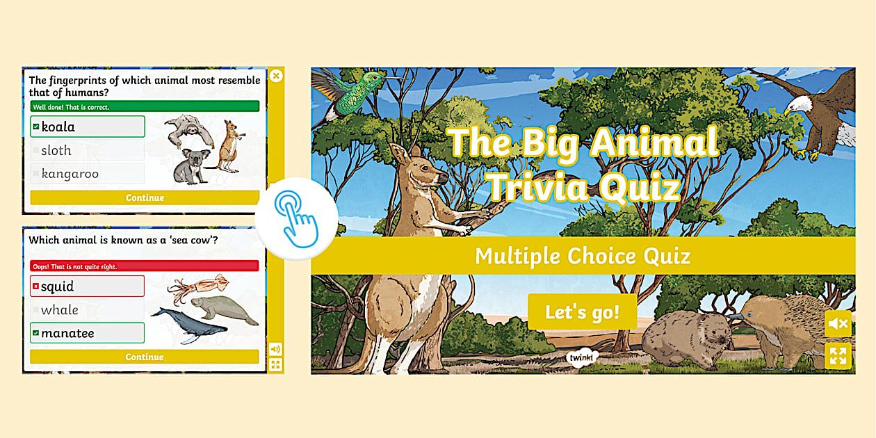 Animal Trivia Activity Years 3-4 | Big Animal Trivia Quiz