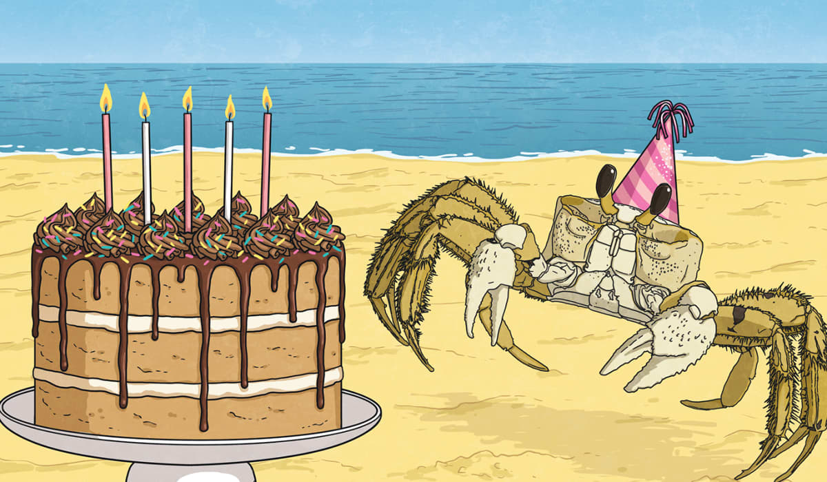 ‘World's Funniest Crab Joke’ Competition - Twinkl NewsRoom