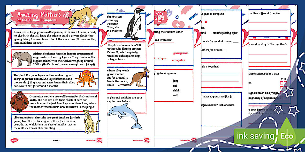 Amazing Mothers of the Animal Kingdom Reading Comprehension