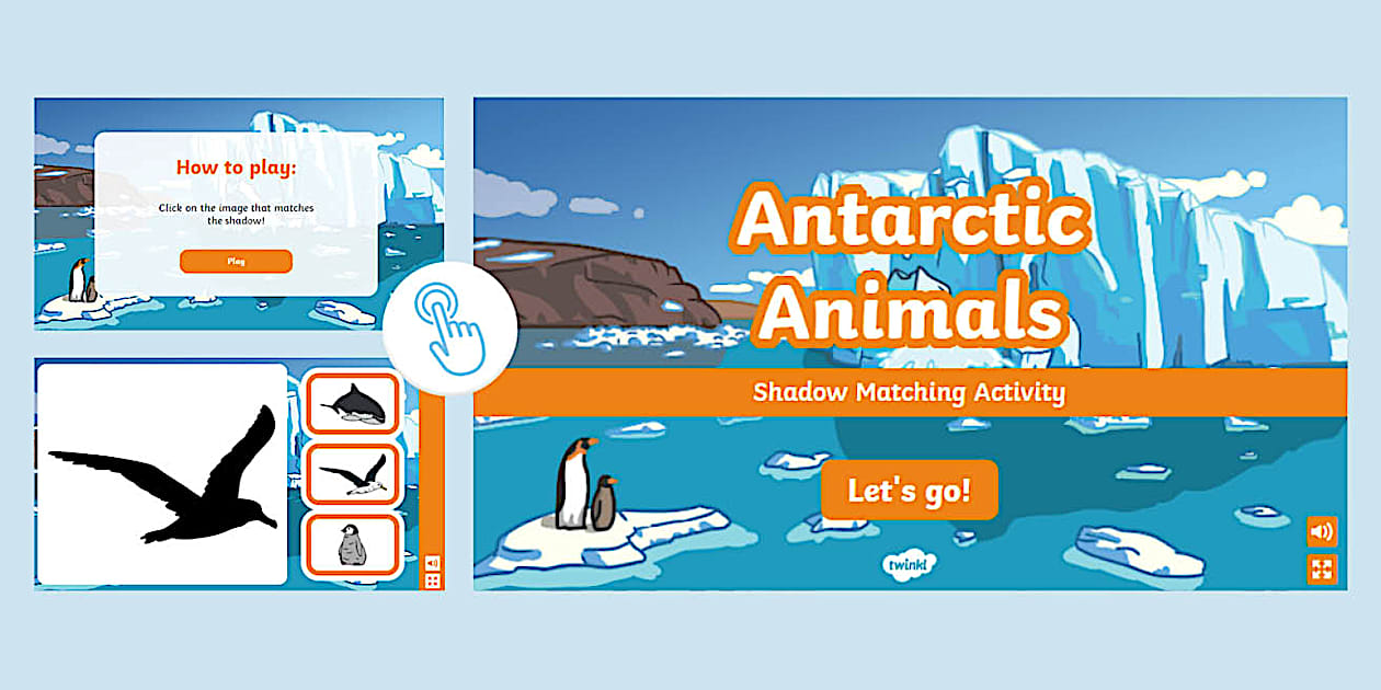 Antarctic Animals Interactive Shadow Matching Game - Twinkl