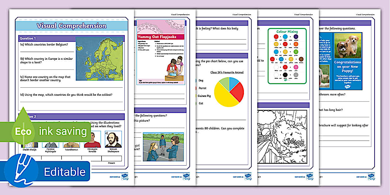LKS2 Visual Comprehension (teacher made) - Twinkl