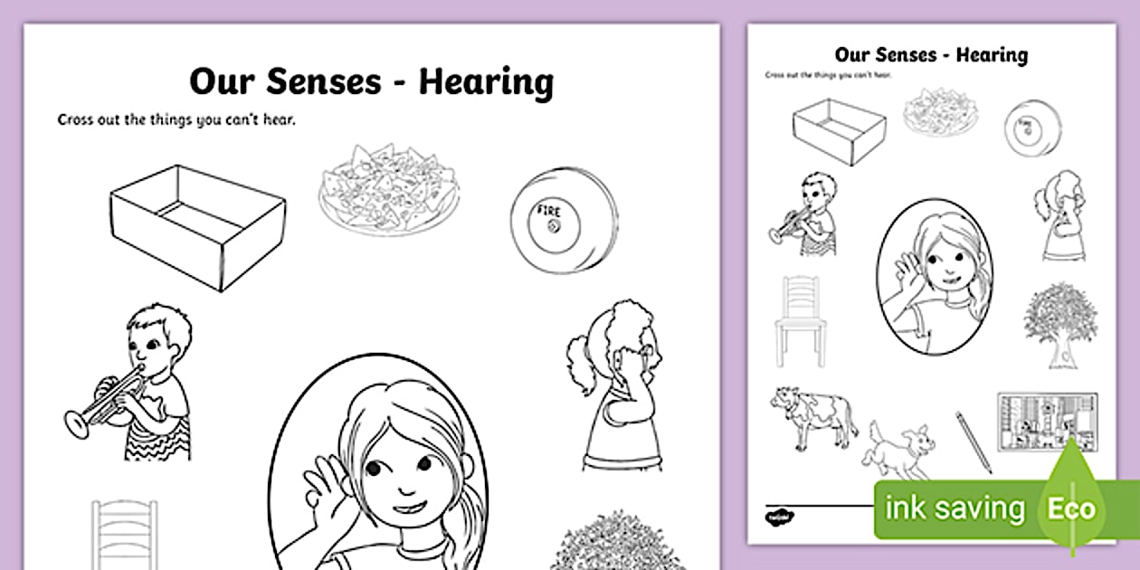 Our Senses - Hearing (teacher made) - Twinkl