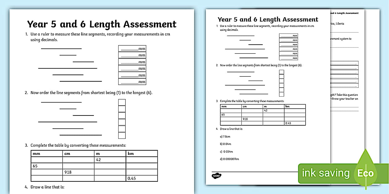 Length Assessment for Year 5 and 6 Worksheet (teacher made)