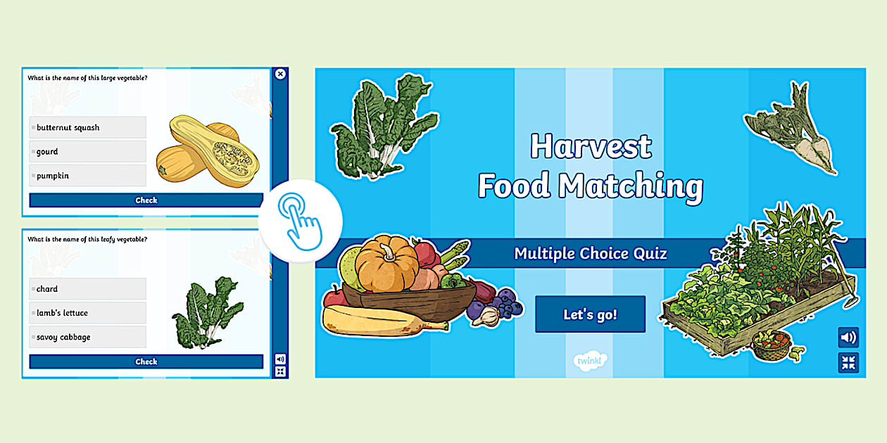 Harvest Food Matching Activity - KS2 (teacher made) - Twinkl