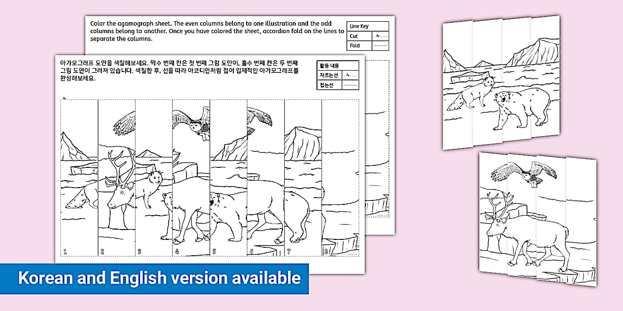 툰드라 동물 아가모그래프 | Tundra Animals Agamograph